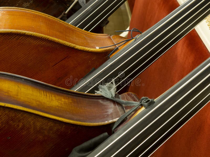 Contrabass closeup stock photo. Image of symphony, instrument - 56537100