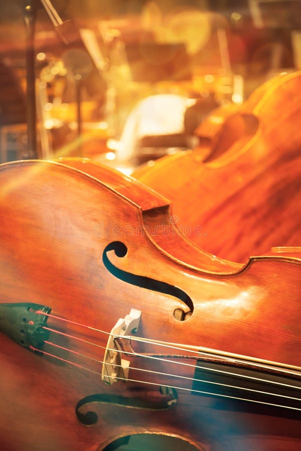 Double Bass Player - Classic Jazz Stock Image - Image of fiddle, skill ...