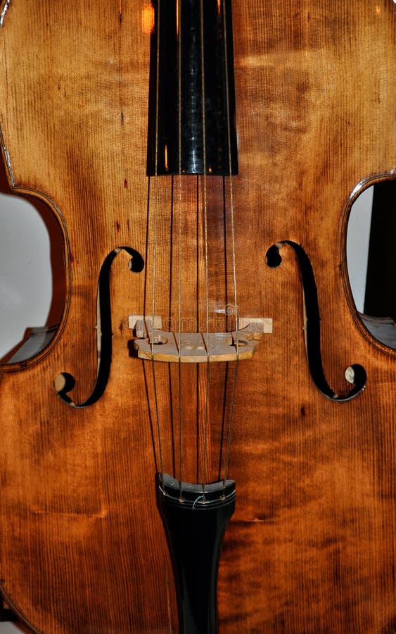 Contrabass stock image. Image of jazz, musician, contrabass - 64976833