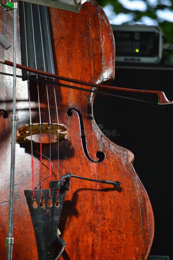 Contrabass stock photo. Image of stage, contrabass, wooden - 76729784