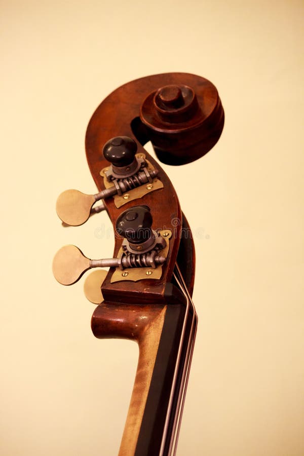 The Contrabass is the Second Largest in Size and the Second Lowest in ...