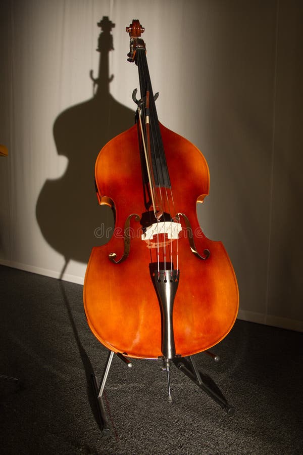 Contrabass on stage stock image. Image of classical, finger - 65772127