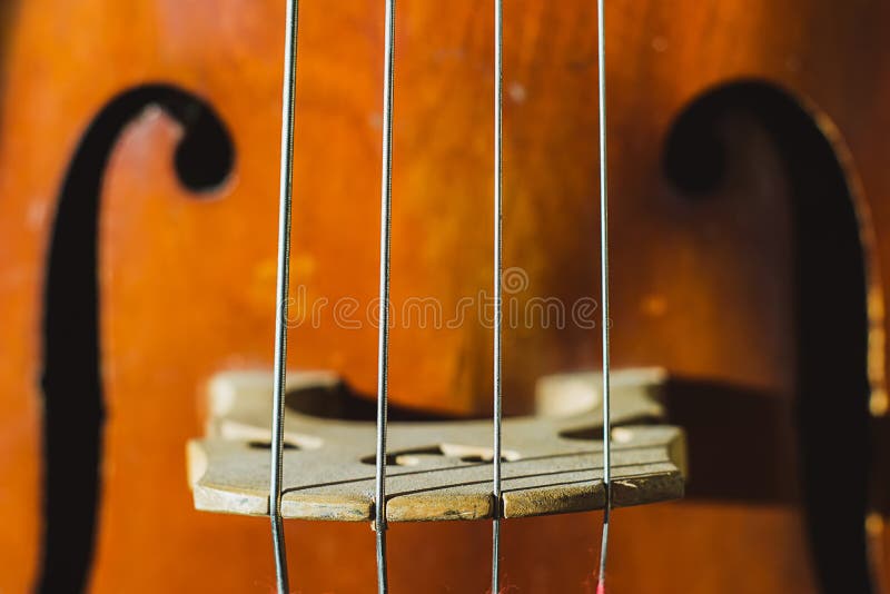 Contrabass strings stock photo. Image of harmony, orchestra - 41901996
