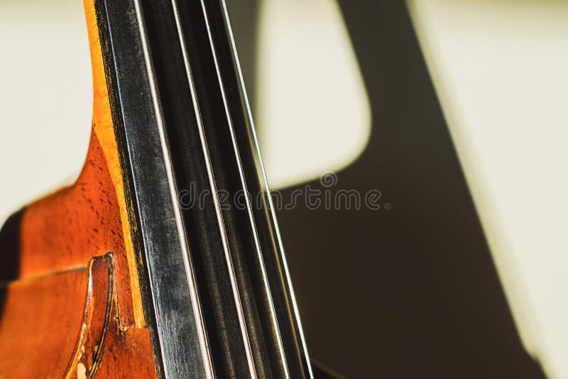 Contrabass strings stock photo. Image of harmony, orchestra - 41901996