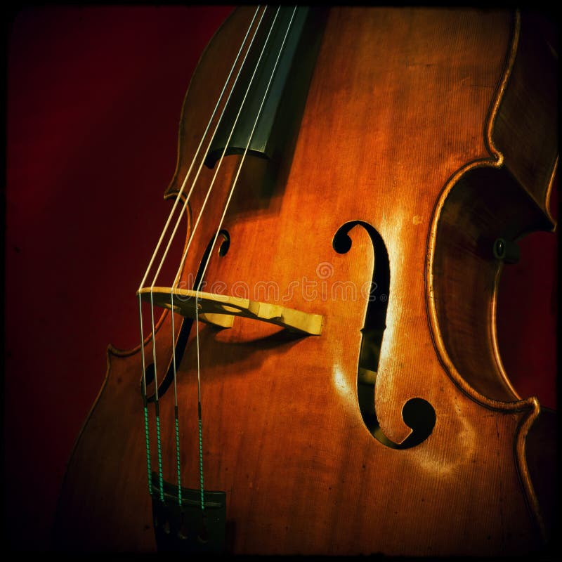 Contrabbasso, Dettaglio Del Collo Dello Strumento Di Musica, Testa Con ...