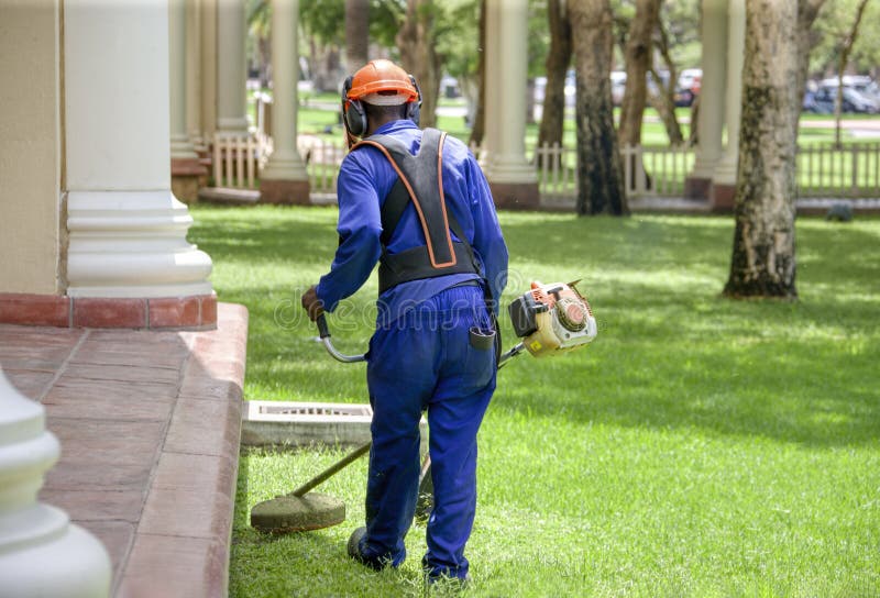 Contractor with a Trimmer Cutting Grass on the Meadow Stock Photo ...