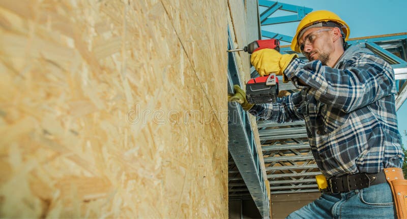 Contractor Worker Installing Plywood Board Using Drill Driver Stock ...
