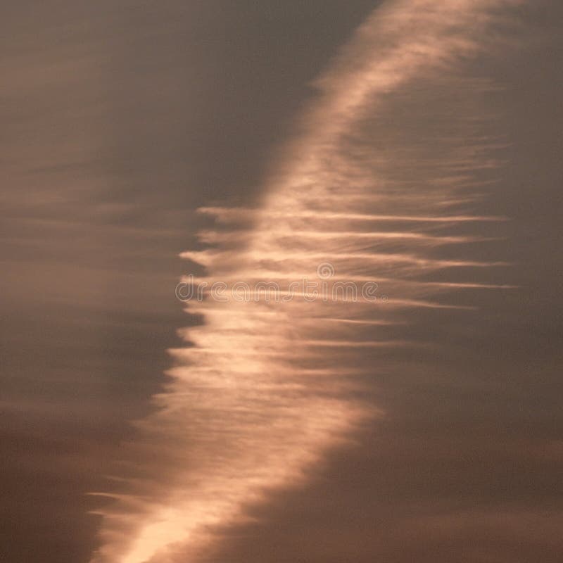 Nanci Mccraine (Mccrainemercantile) - Photographer profile