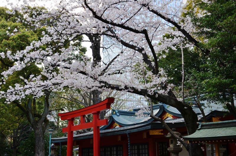 Contrast in city stock image. Image of landscape, pink - 198554573