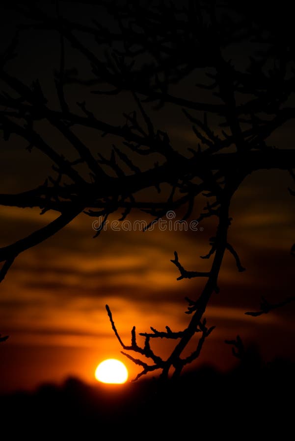 Contrast Dark Vertical Background with a Bright Setting Sun Stock Image ...
