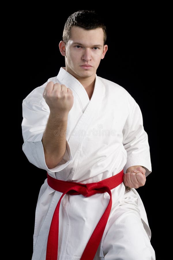 Man in Karate Pose stock image. Image of striking, karate - 5929251