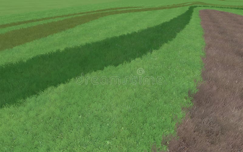 Contrasting Composition of Different Lawn Surfaces in Smooth Lines ...