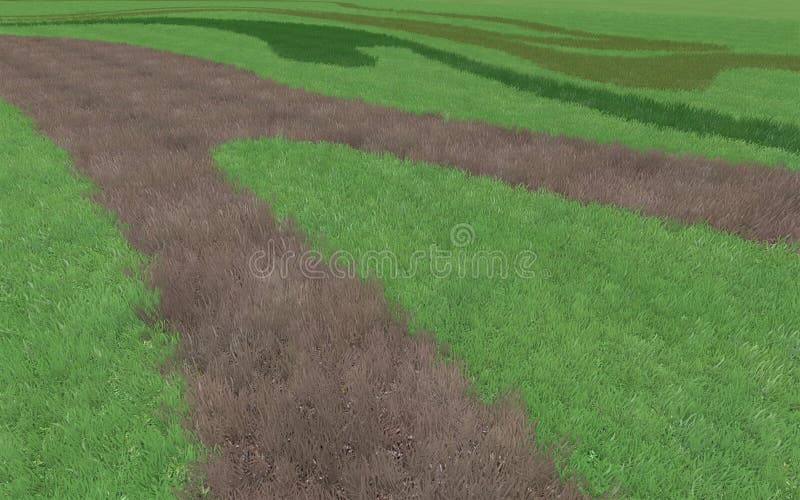 Contrasting Composition of Different Lawn Surfaces in Smooth Lines ...