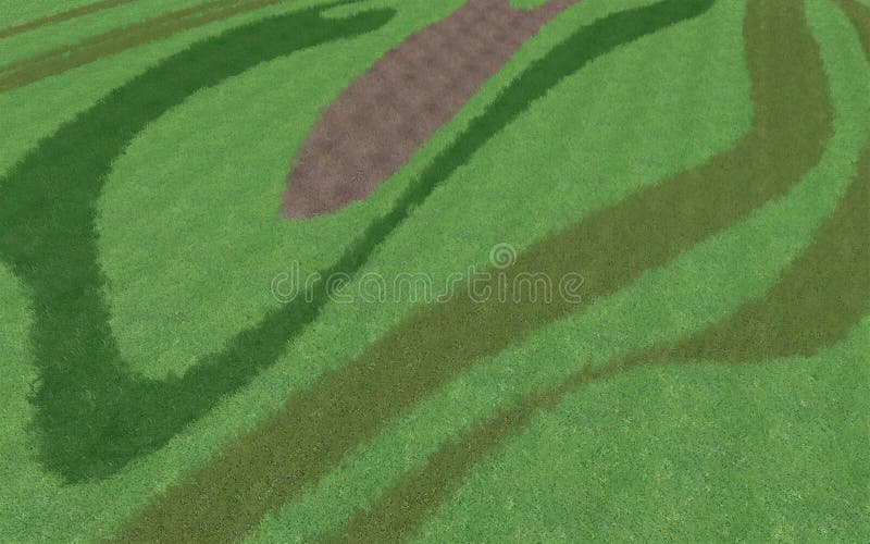 Contrasting Composition of Different Lawn Surfaces in Smooth Lines ...