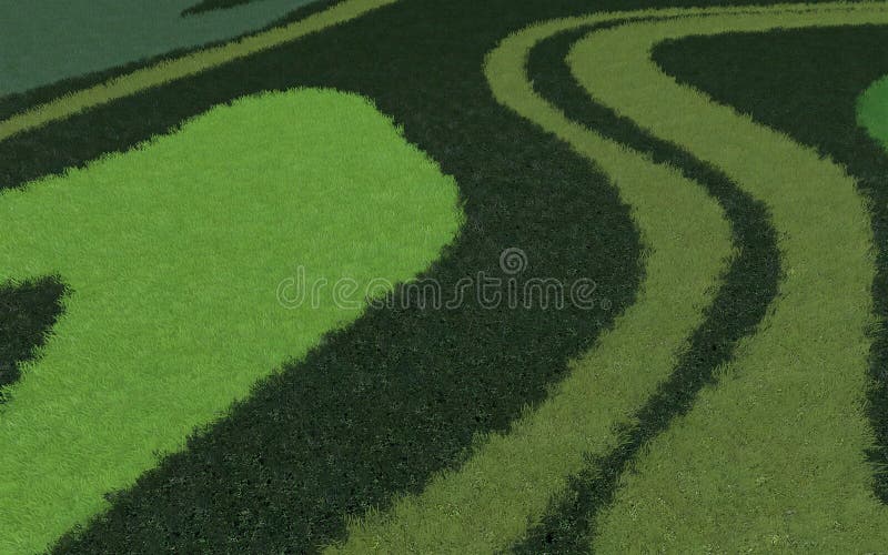 Contrasting Composition of Different Lawn Surfaces in Smooth Lines ...