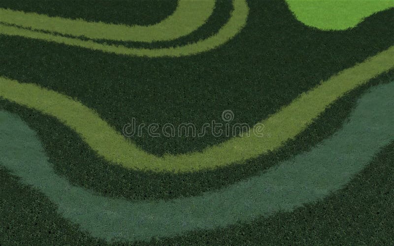 Contrasting Composition of Different Lawn Surfaces in Smooth Lines ...