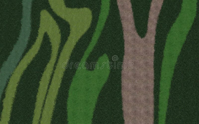 Contrasting Composition of Different Lawn Surfaces in Smooth Lines ...