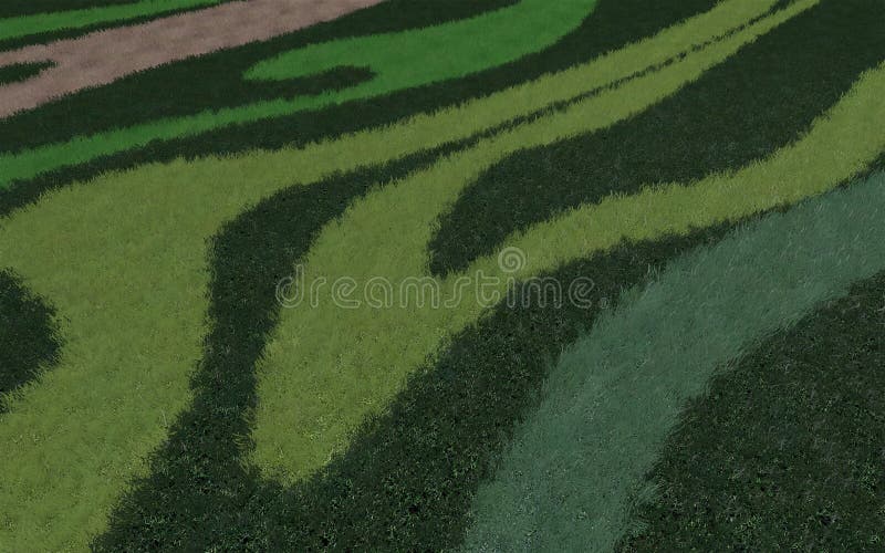Contrasting Composition of Different Lawn Surfaces in Smooth Lines ...