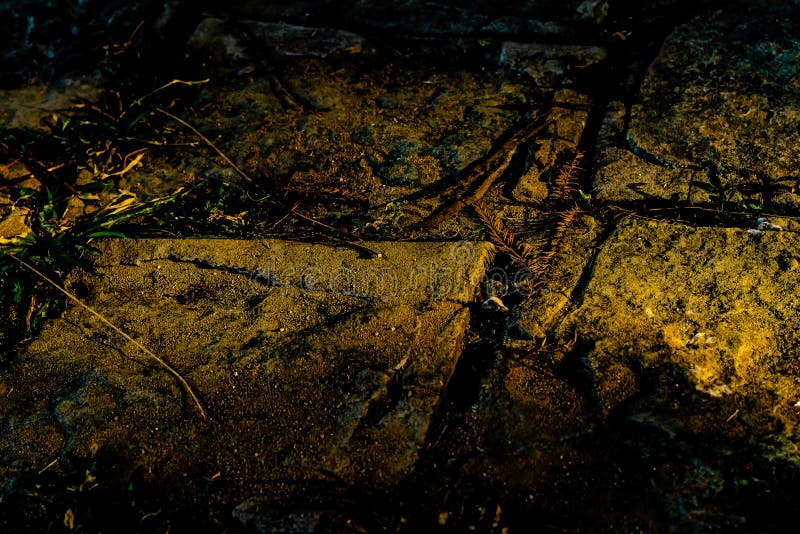 Contrasting High Angle Shot of Pavement on a Pedestrian Side Walk in ...