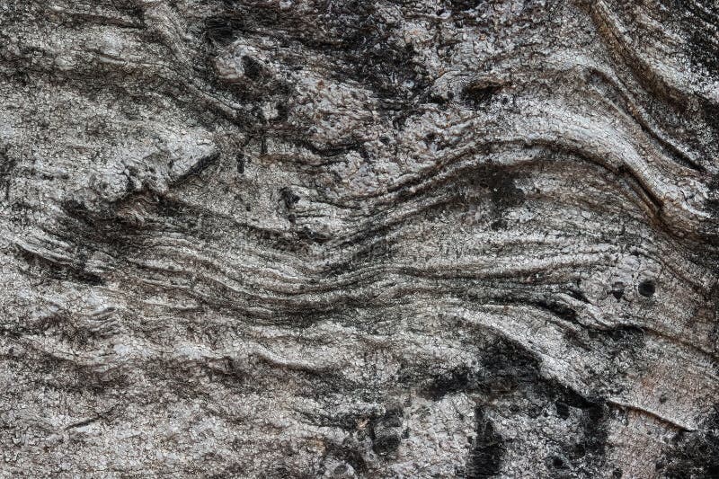 Contrasting Wood Texture for Intro or Background Stock Photo - Image of ...