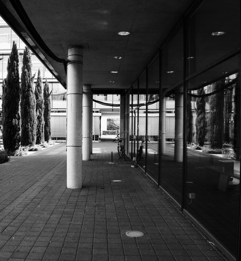 Suzzallo Library Staircase stock image. Image of suzzallo - 51257