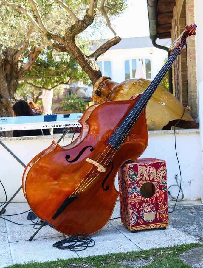 443 Contrebasse Photos libres de droits et gratuites de Dreamstime