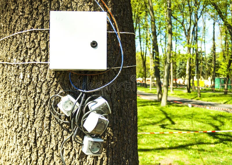 Control Panel with Circuit-breakers. Stock Photo - Image of connection ...