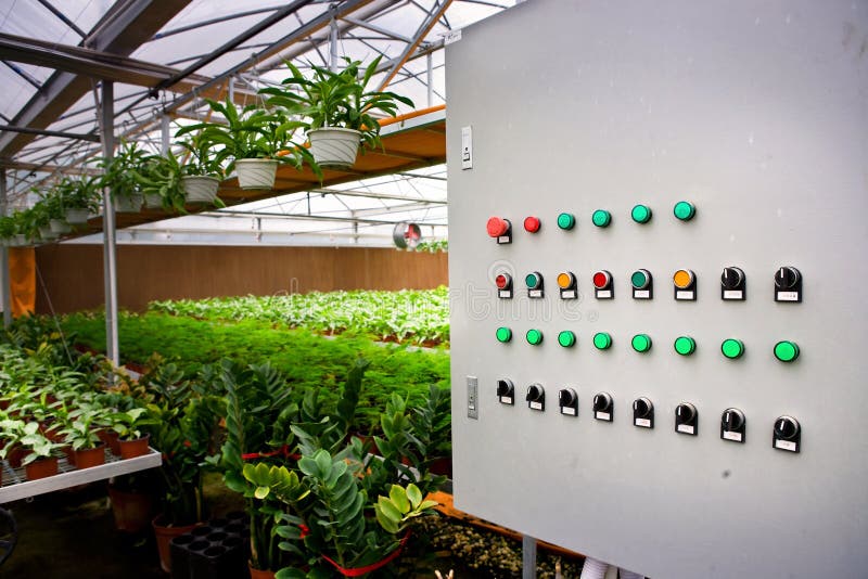 Greenhouse stock image. Image of hothouse, interior, culture - 23389937