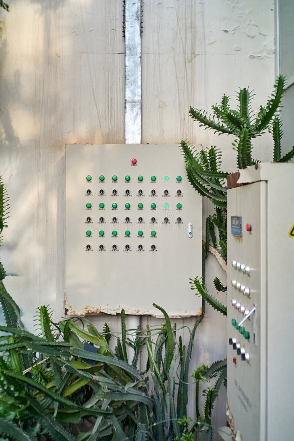 Control Panel with Numerous Buttons and Lights, Surrounded by Succulent ...