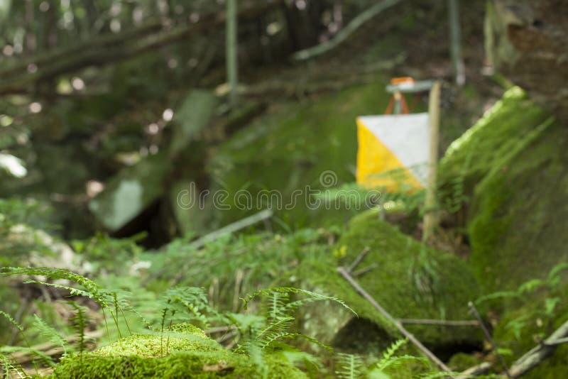 Control point symbol stock photo. Image of hanging, grass - 59686498