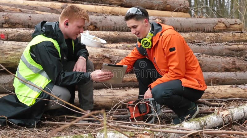 Control of Work. Elimination of Breakage in the Workflow. Stacked Trees ...