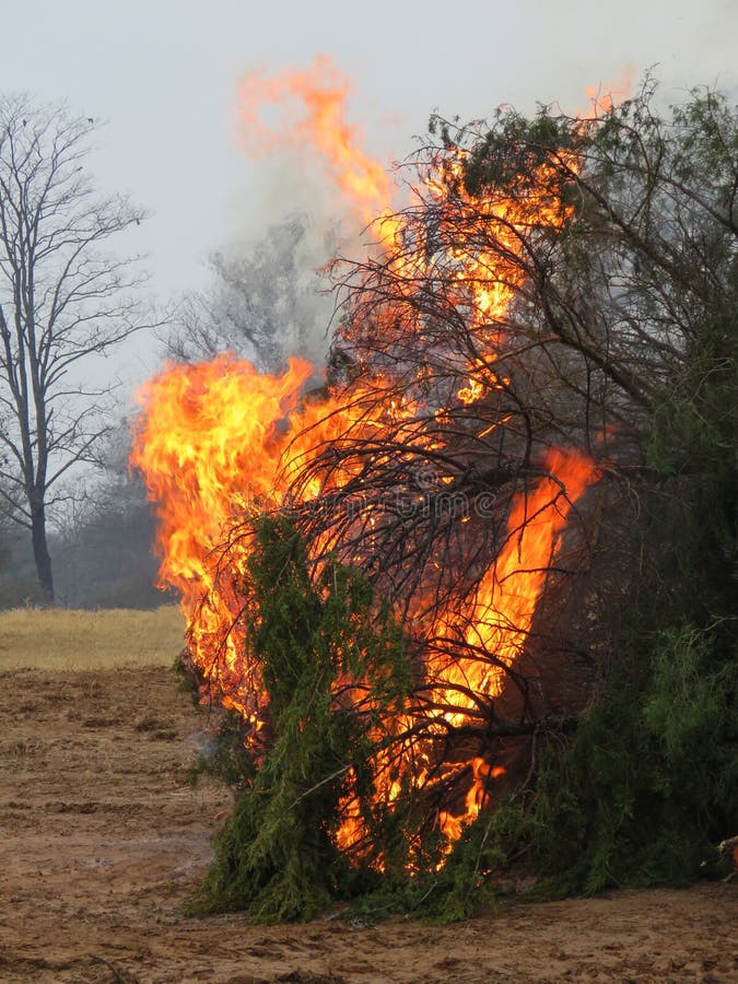 Smokey burn background stock image. Image of danger, mist - 50103365