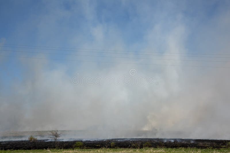 1,089 Controlled Burn Stock Photos - Free & Royalty-Free Stock Photos ...