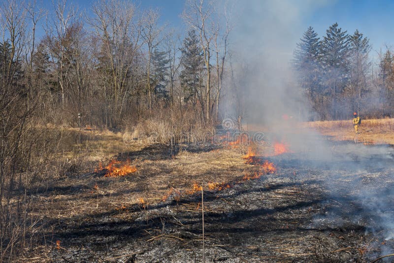 Controlled Burn in a Native Prairie Stock Image - Image of center ...