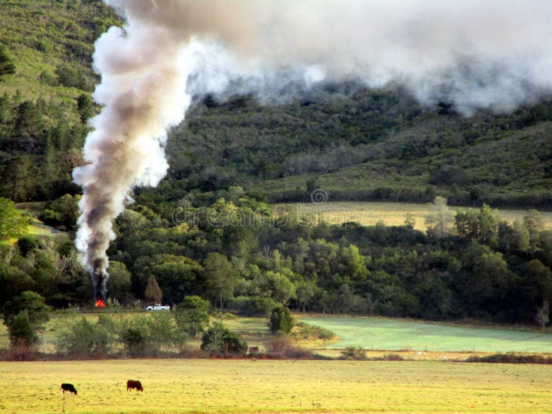 Controlled Fire Being Done in the National Forest of Prescott, Arizona ...