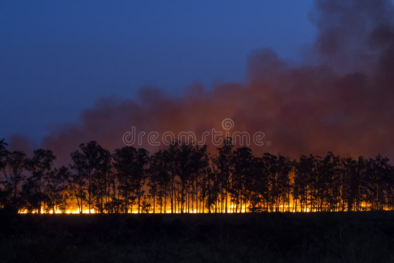 Controlled Fire stock image. Image of control, flames - 32592675