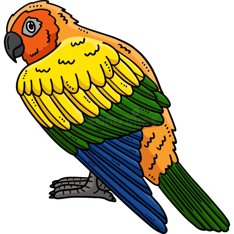 Conure Bird Cartoon Colored Clipart Illustration Stock Vector ...