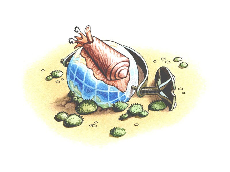 Conus Geographus (geography Cone). Stock Illustration - Illustration of ...