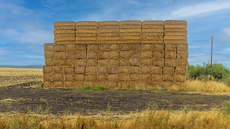 Conventional Bale Stack stock photo. Image of traditional - 266031822