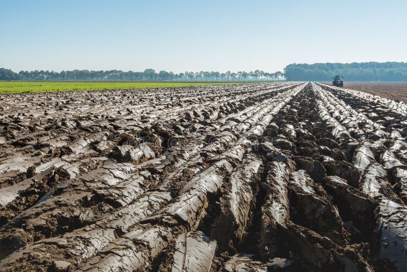 Convergerende Voren in Gedeeltelijk Geploegde Kleigrond Stock Foto ...