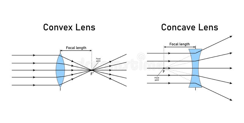 Convex and Concave Lens Schematic Diagram in Optics Physics. Stock ... Convex and Concave Lens Schematic Diagram in Optics Physics. Stock ...