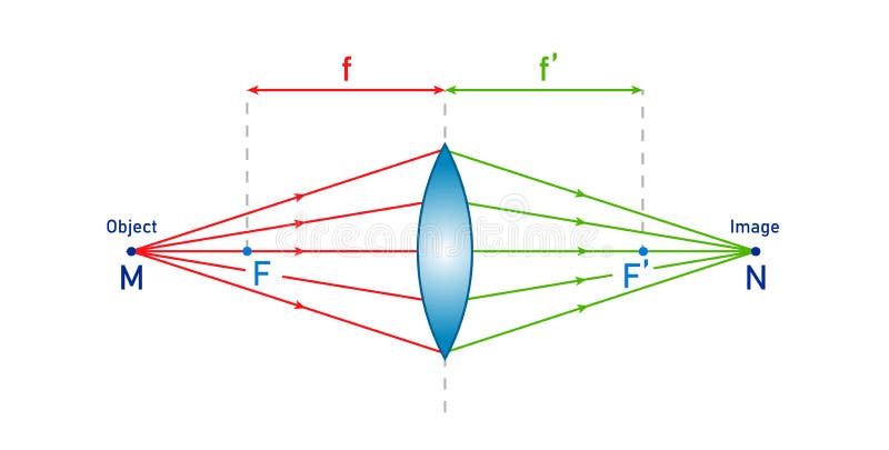 Convex Lens Schematic Diagram in Optics Physics. Stock Vector ...