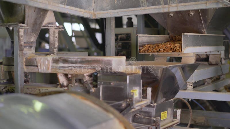 Conveyor with Bread at the Factory. Interior of a Bread Factory. Stock ...