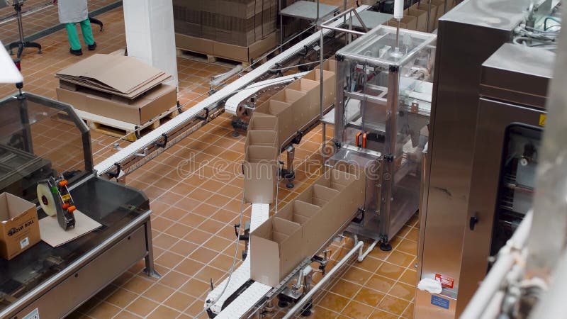 Conveyor Line for the Production of Boxes. Ready-made Cardboard Boxes ...