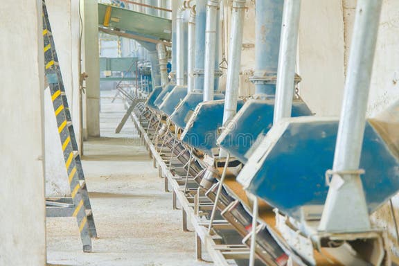Conveyor System Transporting Wheat in Grain Distribution Facility with ...