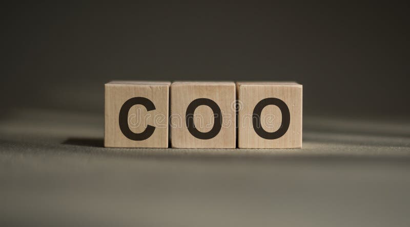 COO Chief Operating Officer Written in Cubes Stock Photo - Image of ...