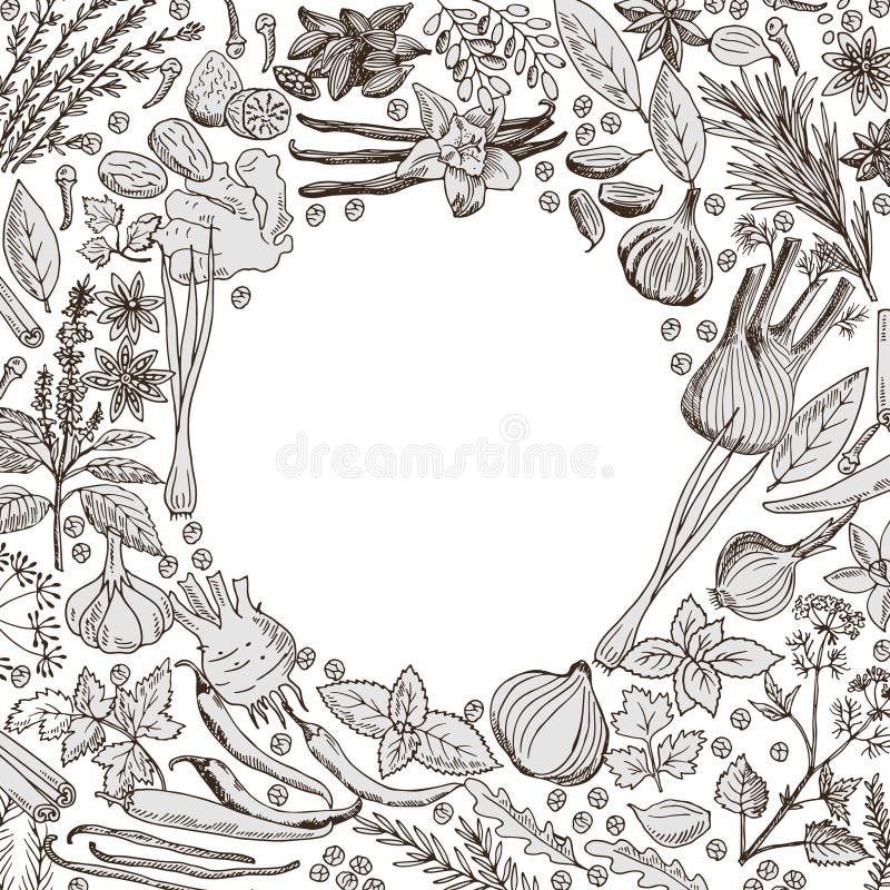 Coocking Spices Frame. Hand Drawn Vegetables Border Stock Vector ...