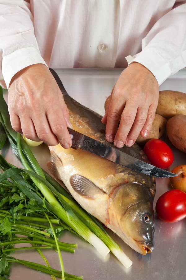 Cook cooking carp fish stock image. Image of fish, white - 40926945