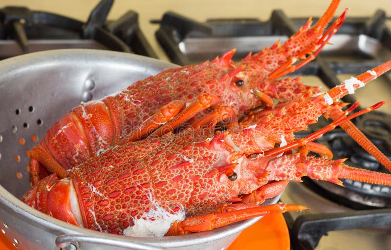 Cook Crayfish stock photo. Image of prepared, organic - 32562806