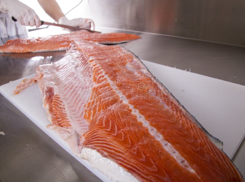 Cook Cut Up Raw Fish in Kitchen Stock Image - Image of cook, fresh ...